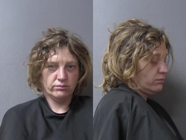 Madison County, IN Arrests | Public Jail Records